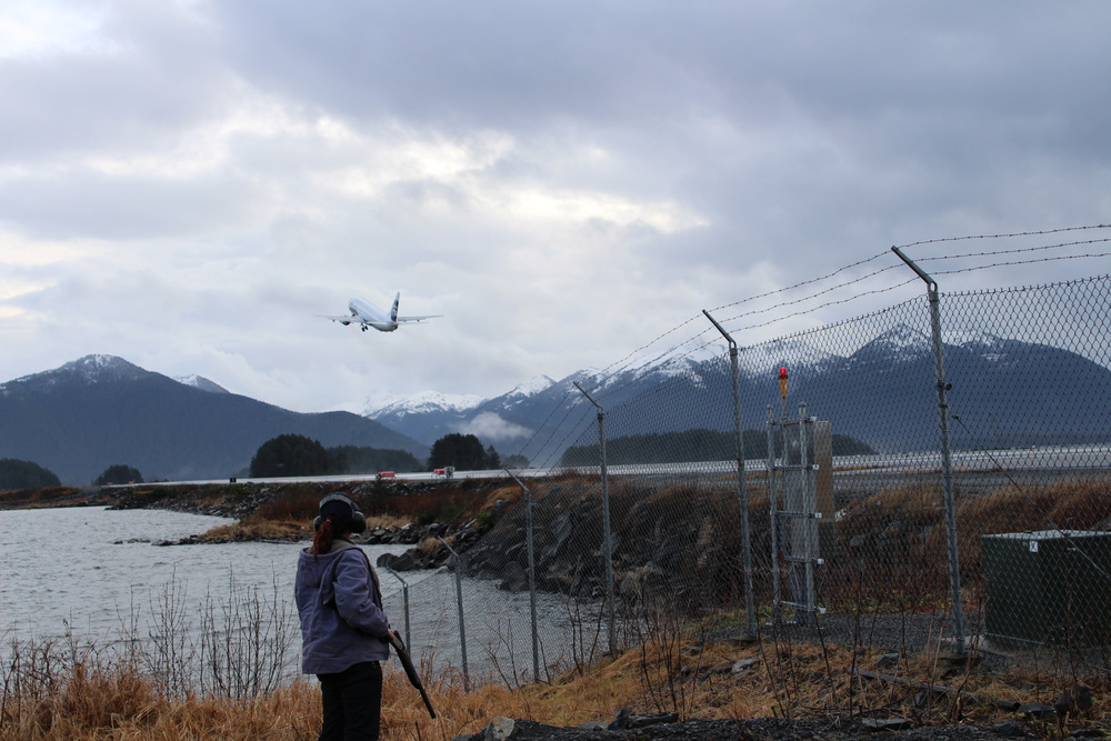 How a deer can cause a plane crash - KCAW